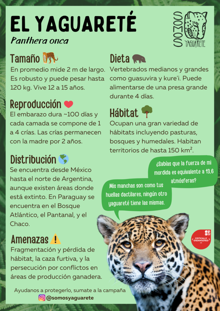 Somos Yaguarete - Somos Yaguareté